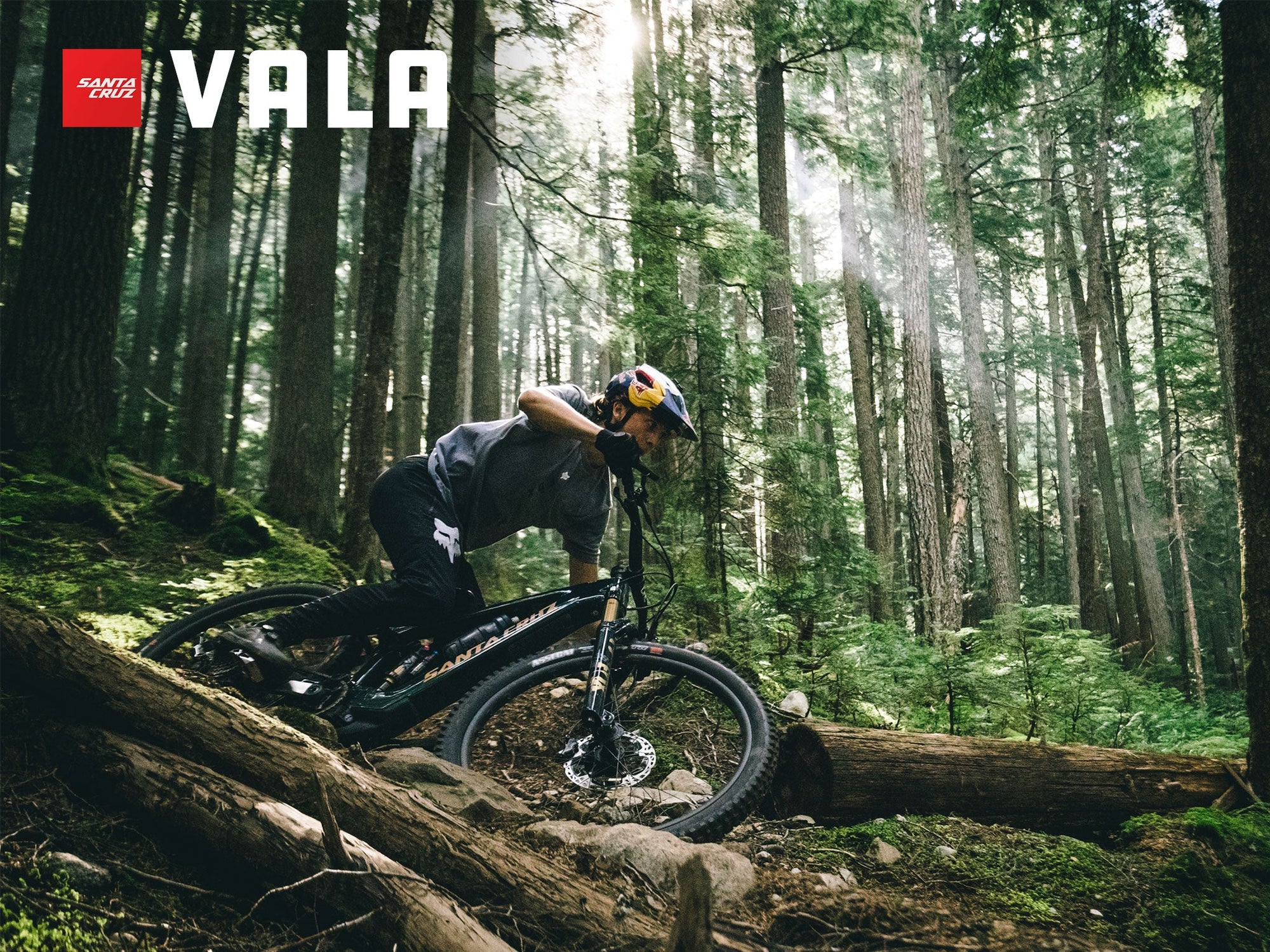 Vala Small Parts – Santa Cruz Bicycles
