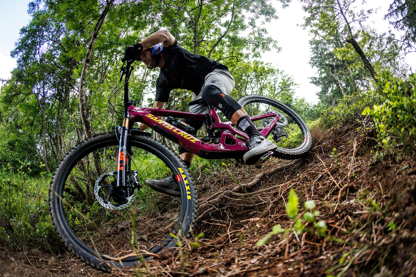 Santa Cruz Bicycles | Quality Bicycles Since 1994