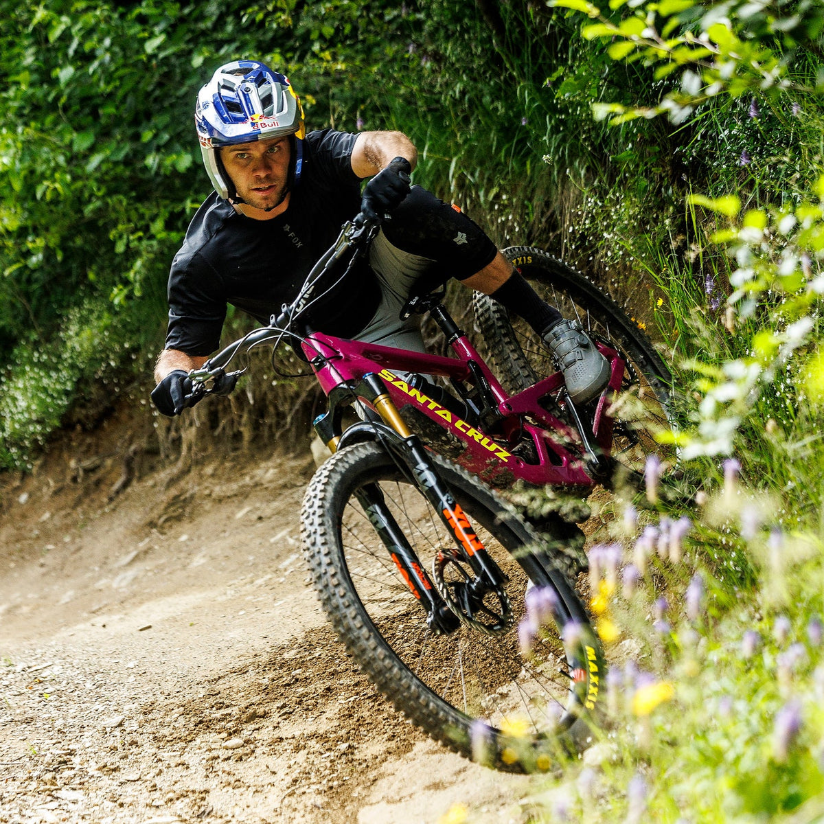 Trail Bikes – Santa Cruz Bicycles